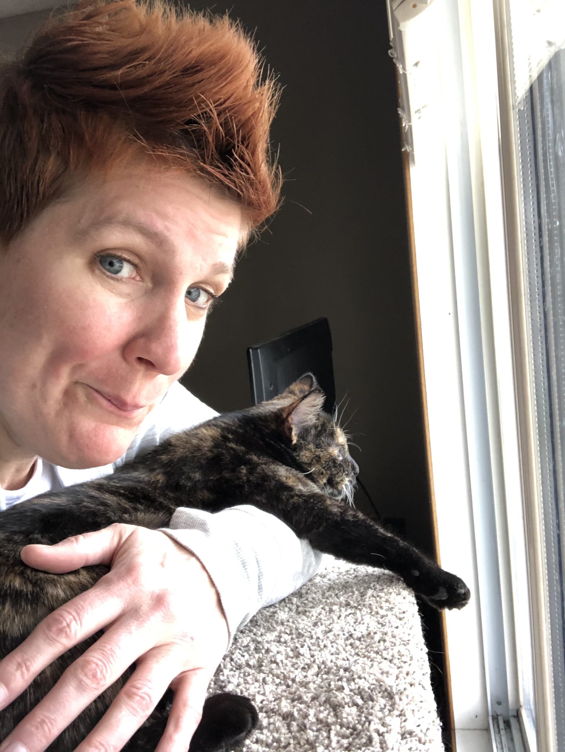 Home is Where the Cat Is - Northern Michigan Woman Magazine